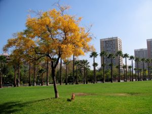 Los 13 Mejores Parques Petfriendly de Santiago : De paseo con mi perro ...