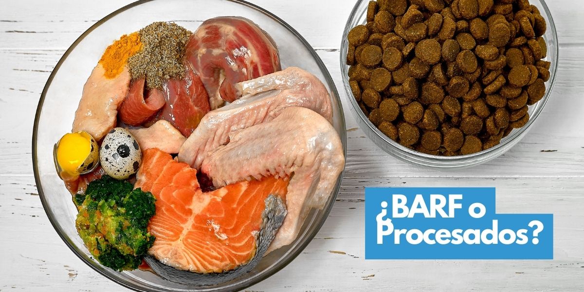 Dieta BARF: Mejora la salud de tu perro con Alimentos Naturales - Todo ...