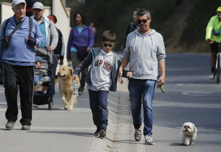 Los 13 Mejores Parques Petfriendly de Santiago : De paseo con mi perro ...