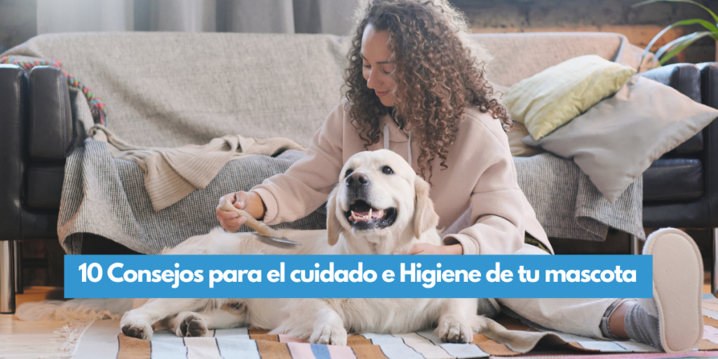 10 Consejos para el cuidado e higiene de tu mascota - Conmiperro - Todo ...